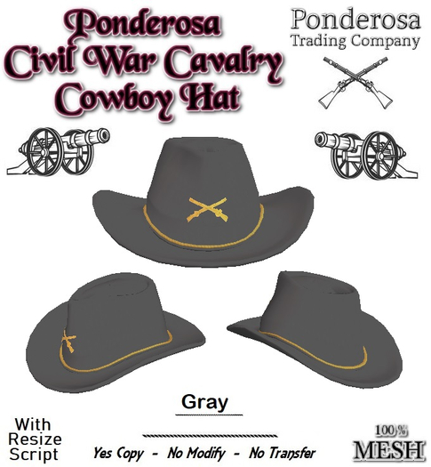 Second Life Marketplace - Civil War Cavalry Cowboy Hat [MESH] Gray